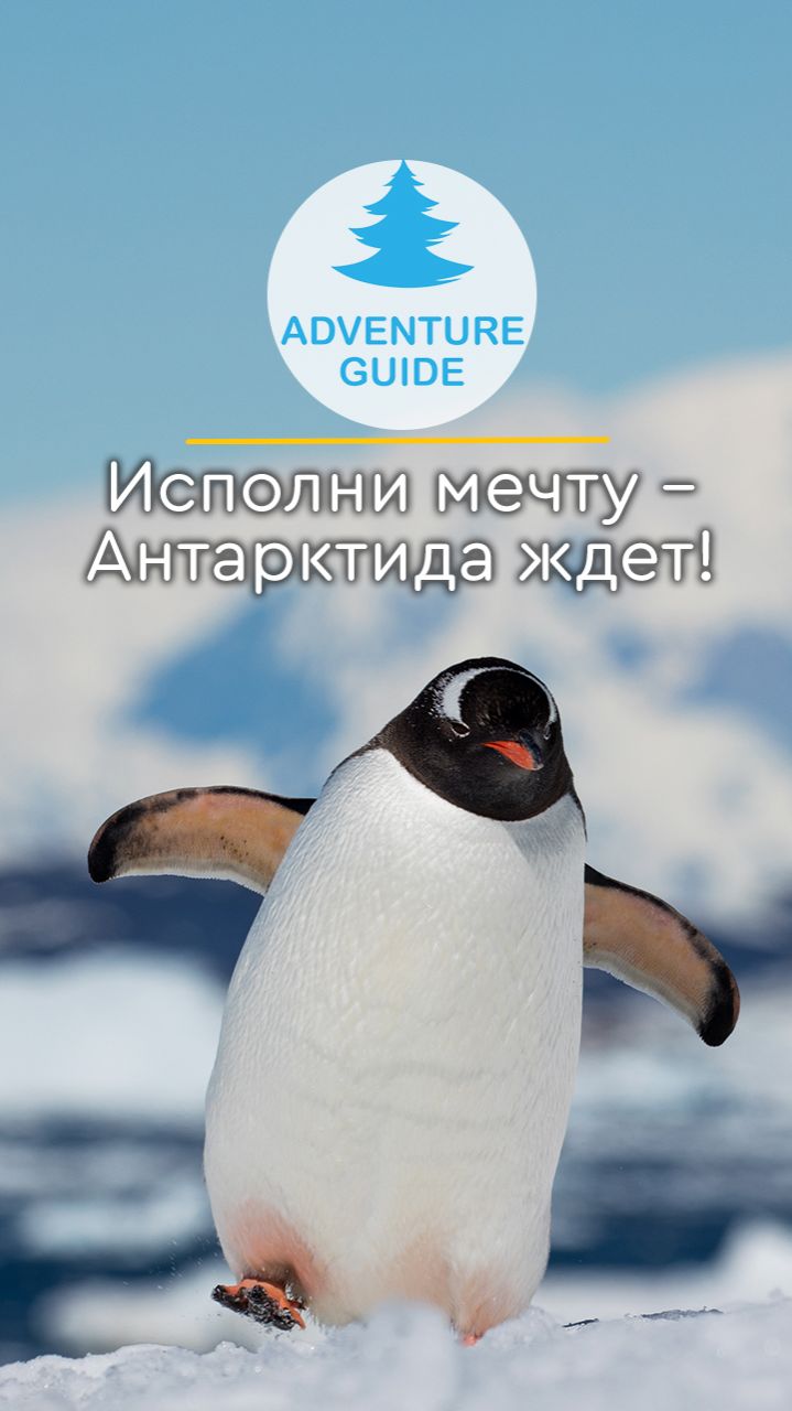 Исполни мечту – Антарктида ждет!  #travel #антарктида #пингвины #киты