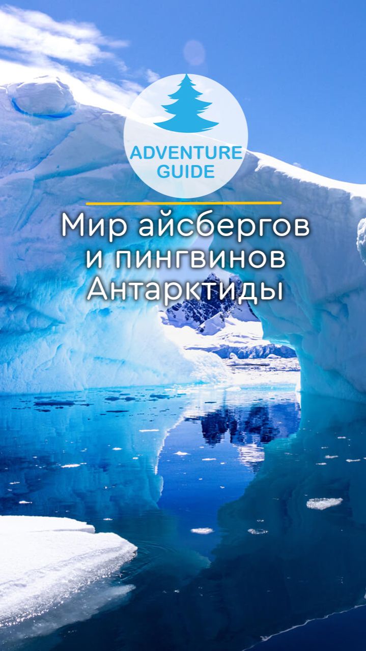 Мир айсбергов и пингвинов Антарктиды #пингвины #киты #айсберг #антарктида