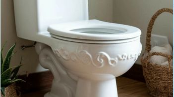 Последовательность удаления унитаза для замены на новый.