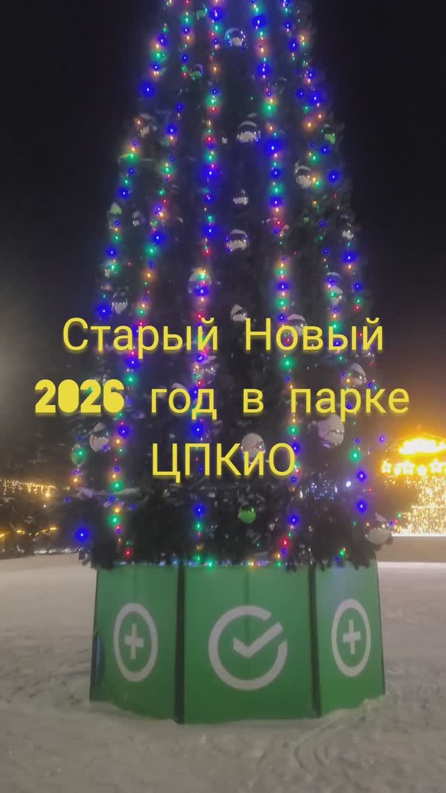 Старый Новый 2026 год в парке ЦПКиО#shorts