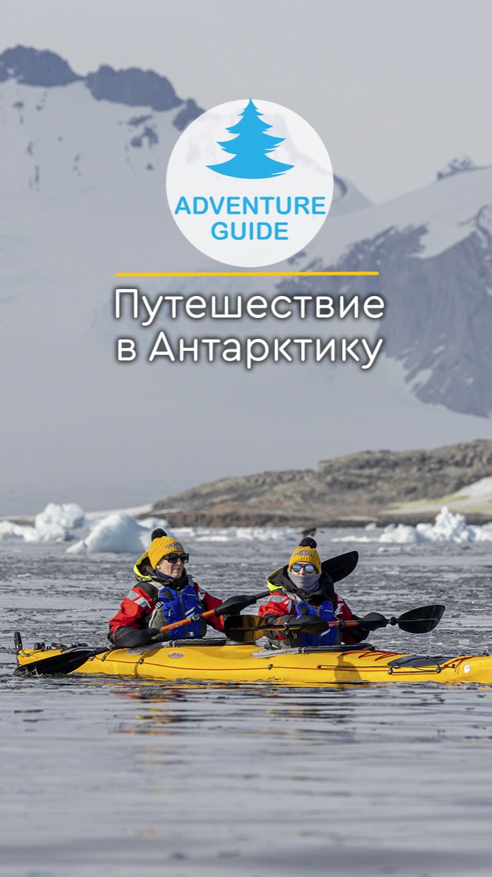 Путешествие в Антарктику #пингвины #антарктида