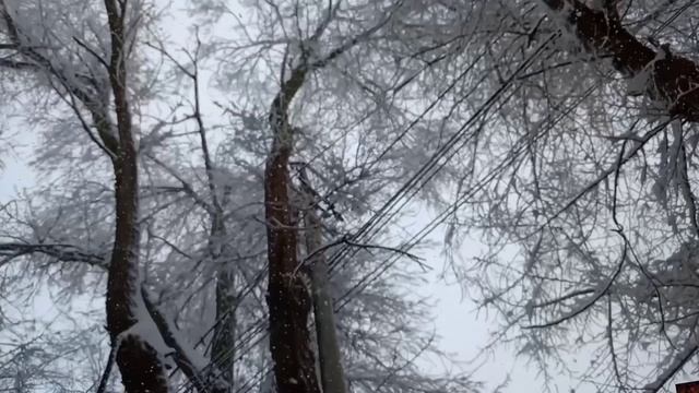 НЕ ЖИВЁМ БОГАТО