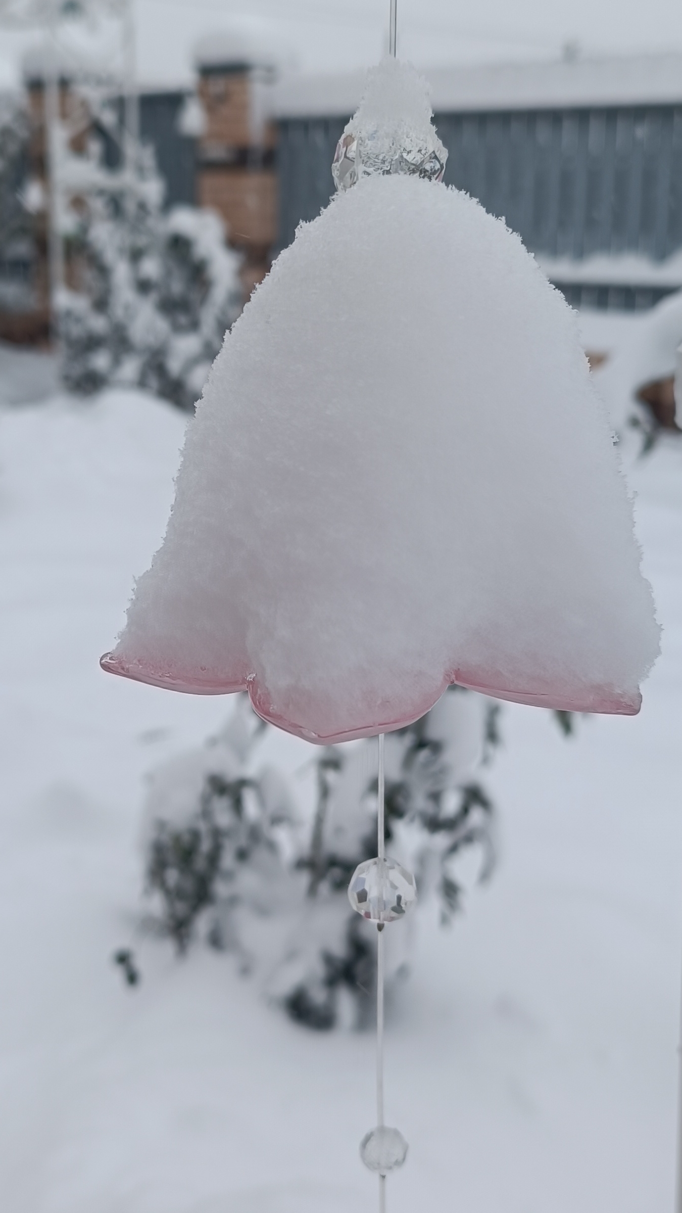 Зима пришла на Кубань! 12.01.2026#Кубань#зима#красота#природа#2026год