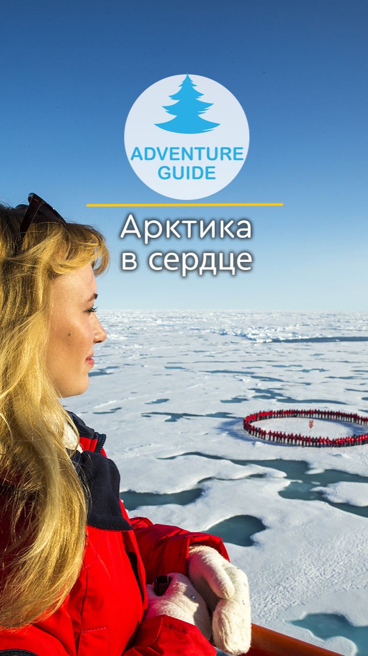 Арктика в ❤  #travel #арктика #северныйполюс #белыймедведь #моржи