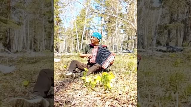 Рәсүл Сәғитов - Шиңгән сәскәләр 🌹💐🌺🎋🌷