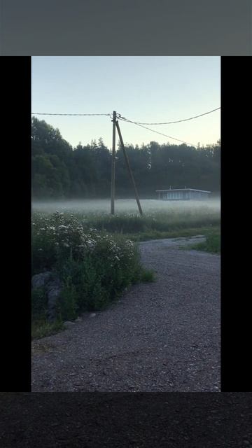 Ленобласть.27.07.2024. Прогноз погоды. Утро туманное, утро седое, вспомнишь ли лица давно позабытые…