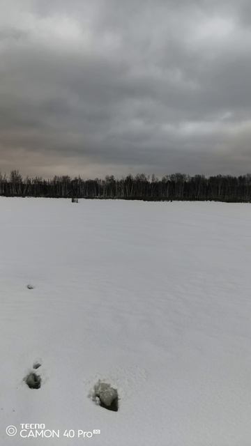 Лосиная биостанция. Пойма р. Яуза