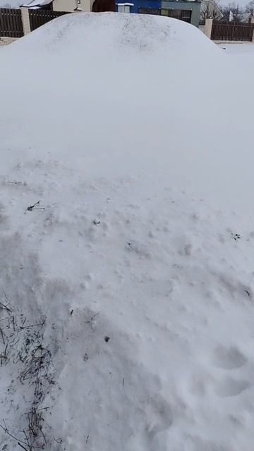 #зима #снег #мороз