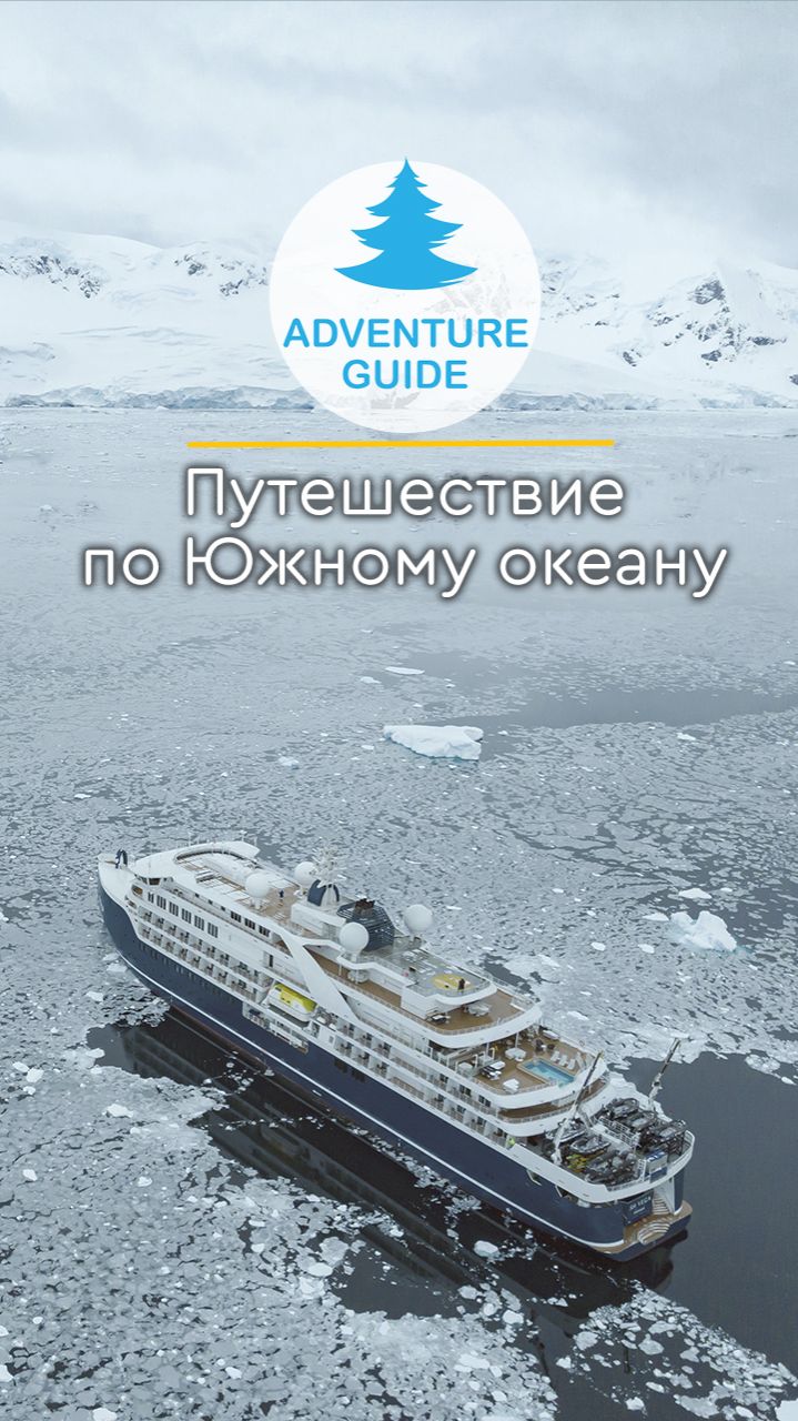 Путешествие по Южному океану #пингвины #киты #тюлени