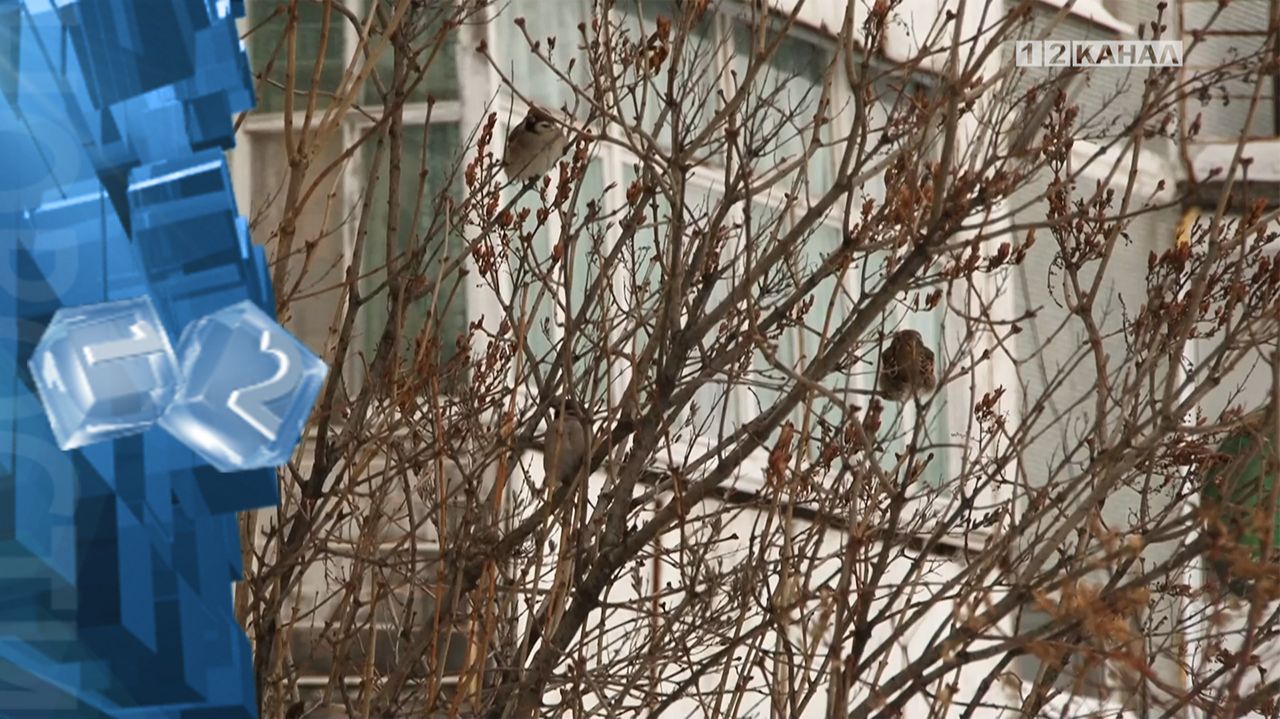 Зима продолжает удивлять переменчивостью погоды, и особенно ее резкими сменами