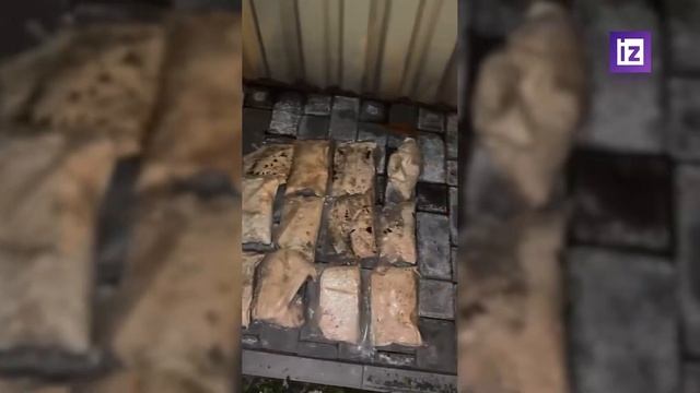 ФСБ задержала банду закладчиков в ДНР