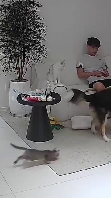 Точно в цель