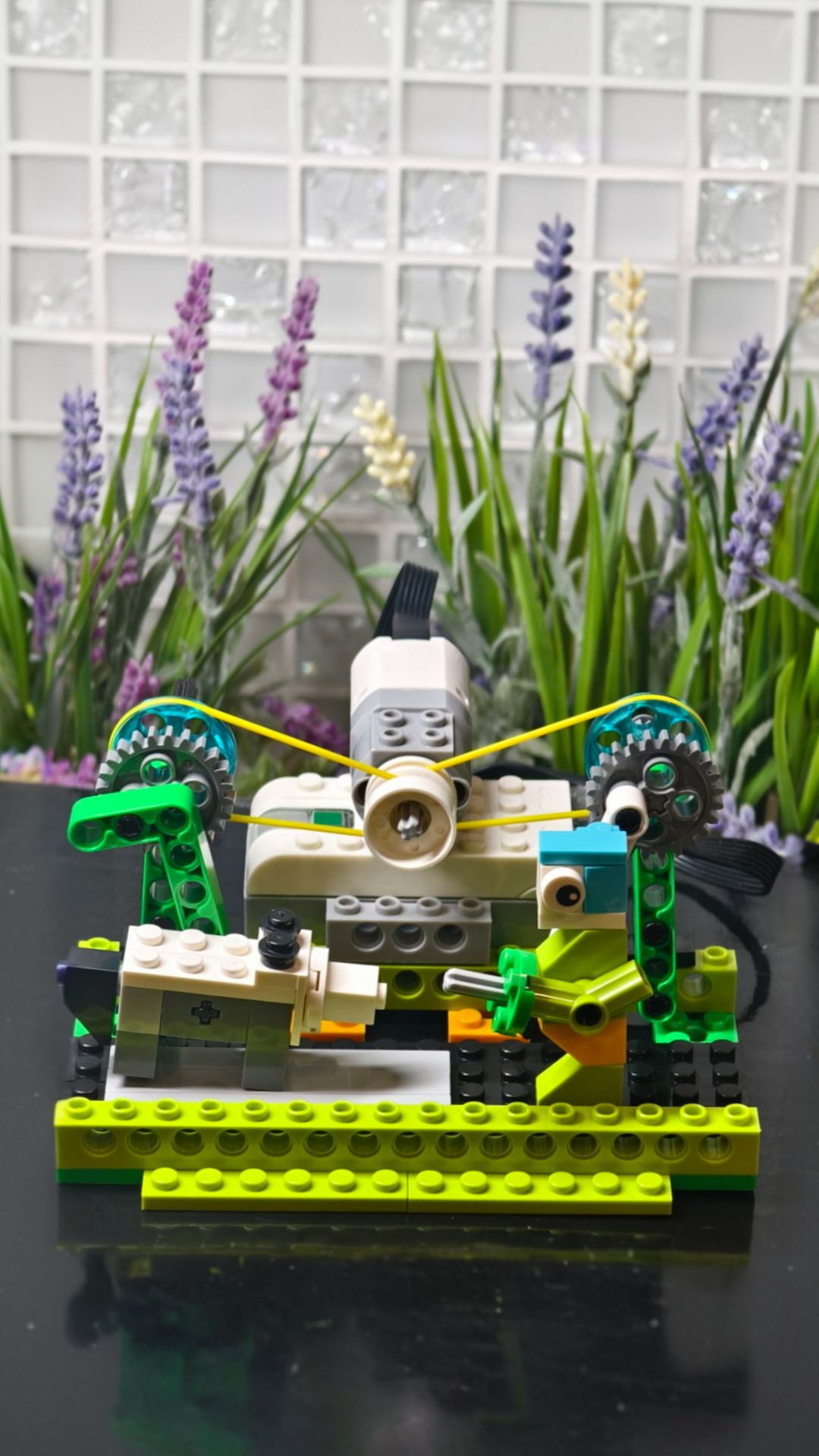 Бой с медведем. Проект Wedo 2.0