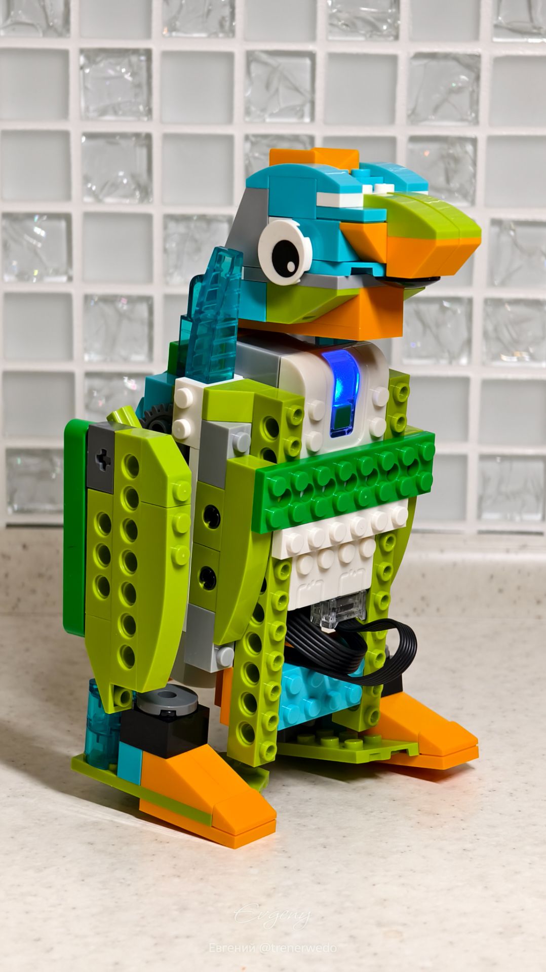 Пингвин. Проект Wedo 2.0