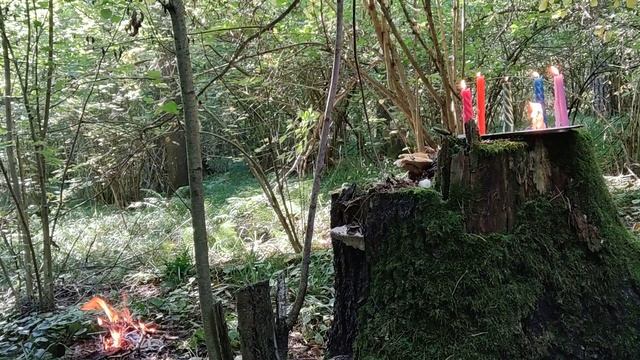 Жадность и черная магия пошла откатом врагу!