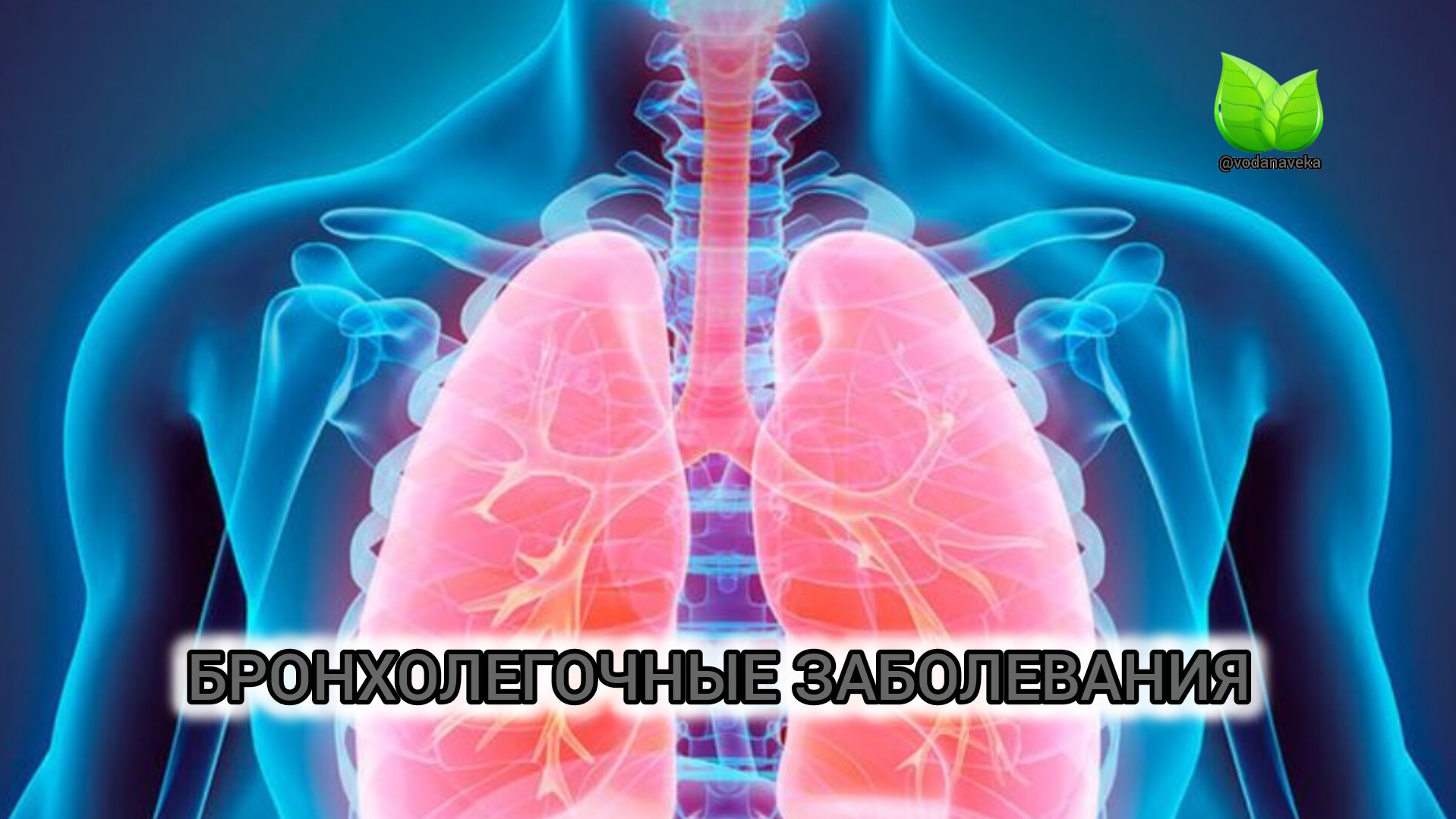 💥Бронхолегочные заболевания. О.А.Бутакова