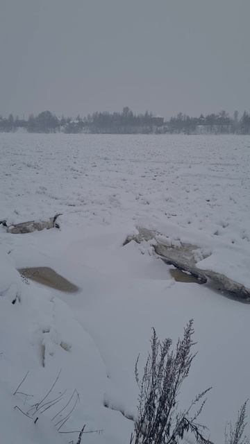 Рыбацкое н.января2016г