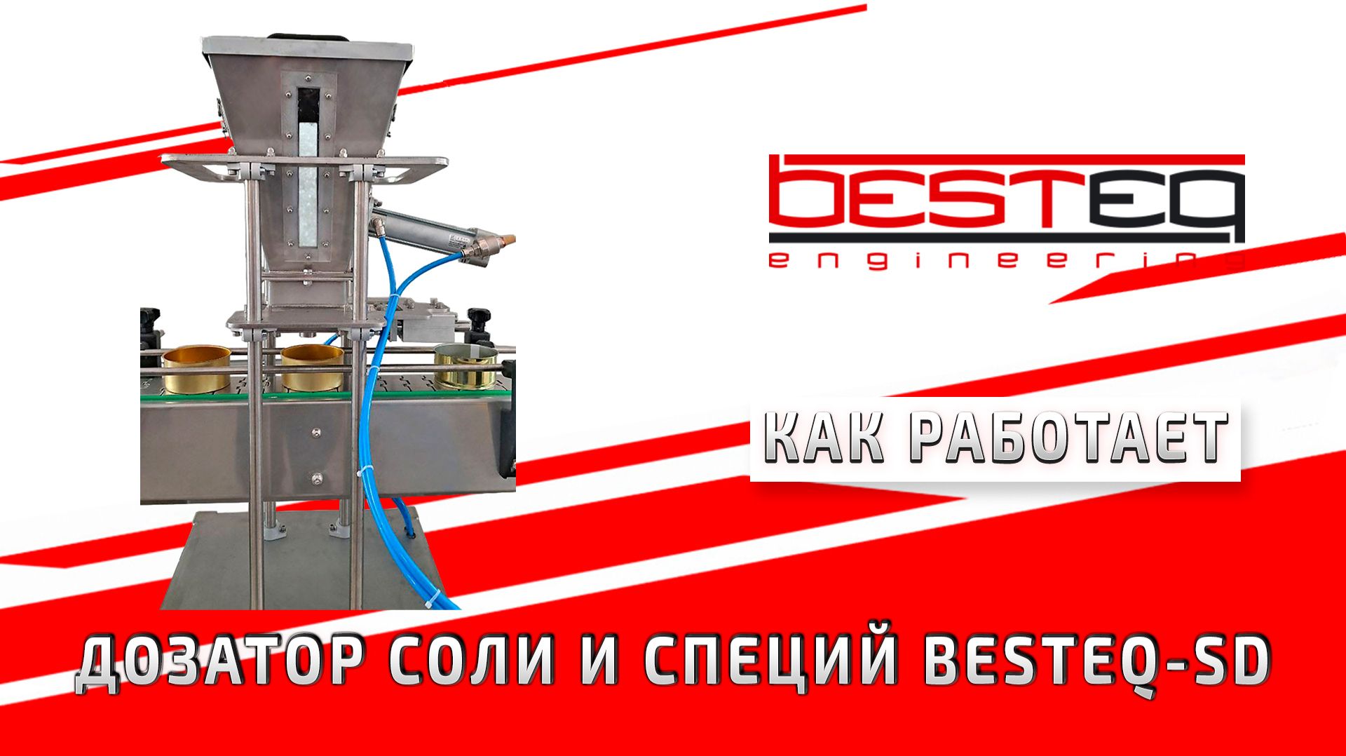 Дозатор соли и специй BESTEQ-SD