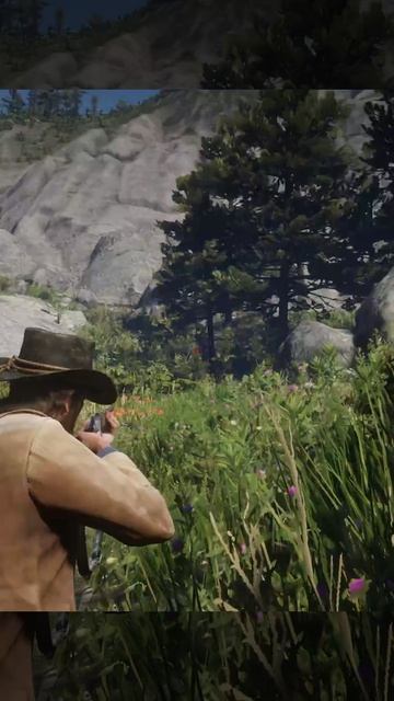 Red Dead Redemption 2. Глава 2 «Нагорье Подкова» Клип 8