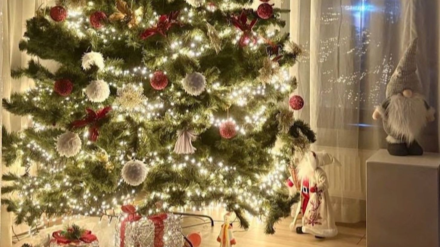 День осуществления мечты. Такое утро