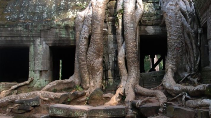 120. ТАЙНА ПОДЗЕМНЫХ ТОННЕЛЕЙ- Статья 120- Валерий Поздняков