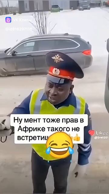 Приколы
