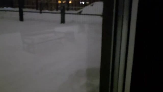 замёрз львенок, подхрамывает. Один вечер из жизни льва Шерхана (1)