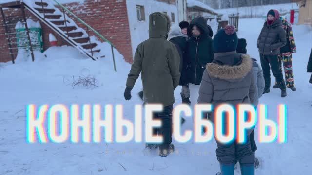 4 января | Зима, лошади и постепенный прогресс