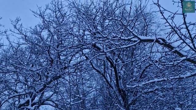 Стихотворение Борис Константиновича Ратникова "Предназначению человека" | Татьяна Бекаревич