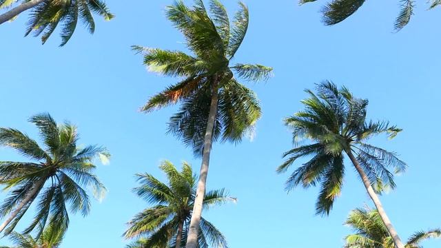 Музыка для души 🌱 Отдохни и расслабься сейчас 🔊 Слушай сейчас музыку 🌈