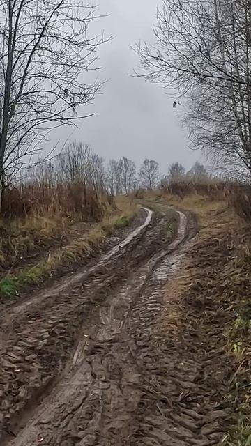 Ехали на коп, а потом выпал снег #shorts #коп #ехали #metaldetecting #металлоискатель