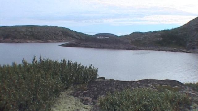 ©  "Тронный. Вид на Сетной" 2007