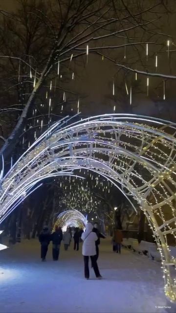 Волшебное место  в Александровском саду