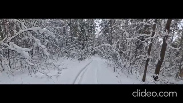 ХОРРОР!!! ПЕРВАЯ ЧАСТЬ!!! (НЕ ДЛЯ СЛАБОНЕРВНЫХ!!!)