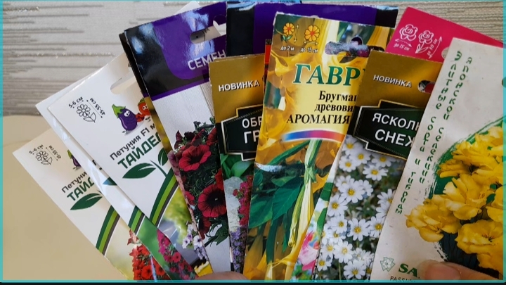 КАКИЕ ЦВЕТЫ БУДУ СЕЯТЬ В ЯНВАРЕ