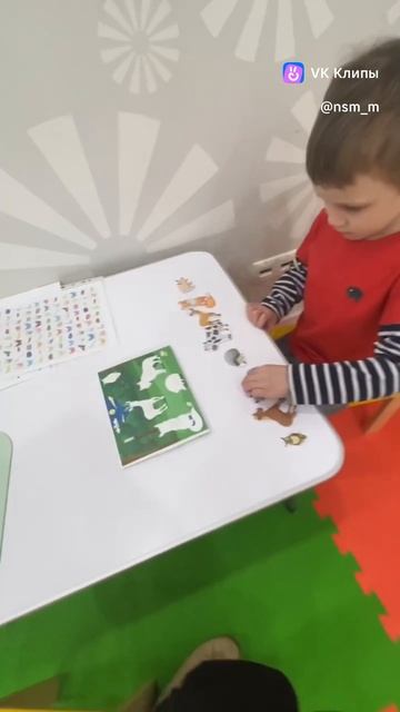 Занятия по нейропсихологии