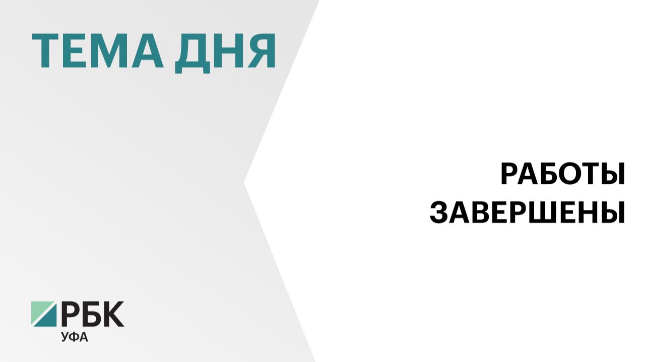 В Башкортостане завершили работы по извлечению погибших баранов из озера Узеть в Бирском районе