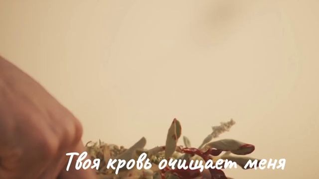 Сара Либерман - Огонь Твоего Духа (русские субтитры)