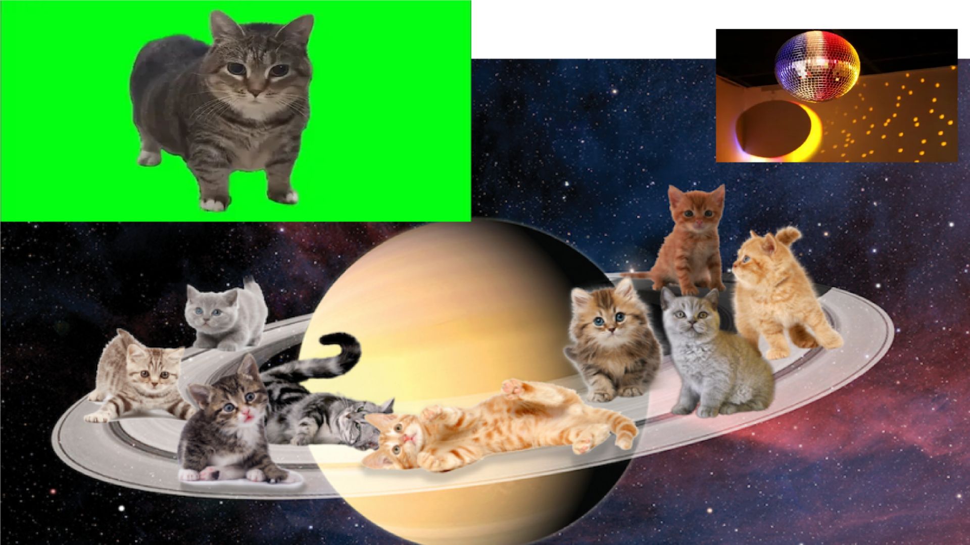 Вечеринка котиков на Сатурне, под музыку OIIA!