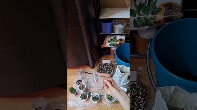 Спасаем от замокания