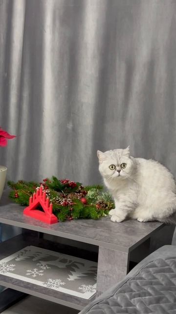 Доброе утро!