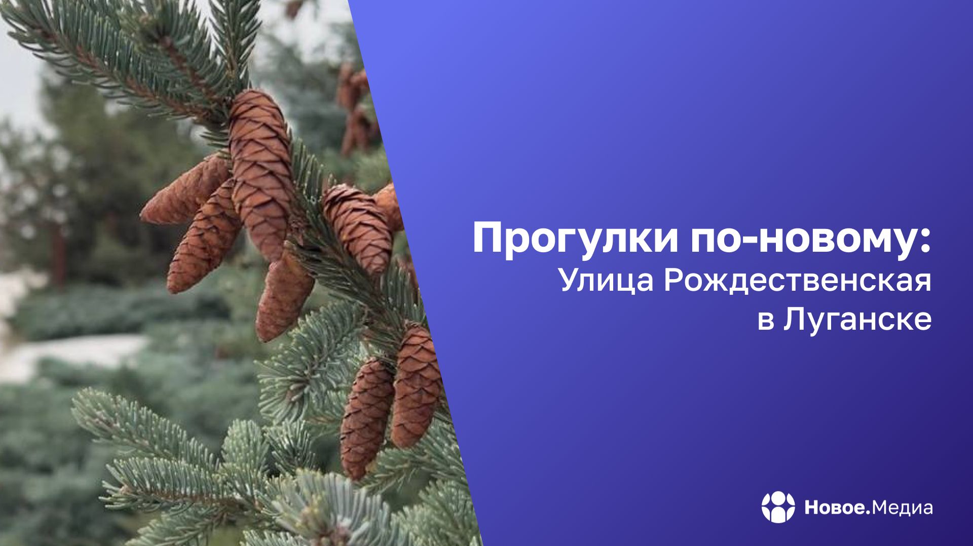 «Прогулки по-новому»: улица Рождественская в Луганске