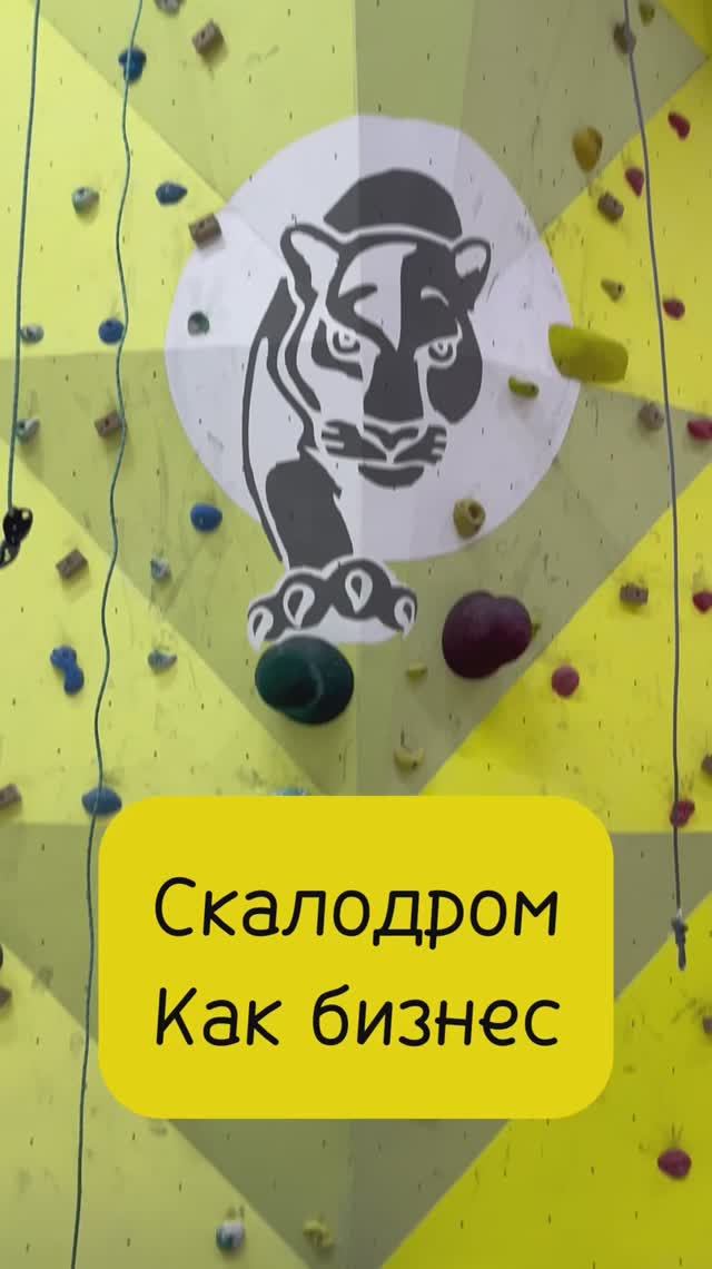 Скалодром как бизнес. Ссылка на интервью с руководителем скалодрома. #скалодром #интервью #бизнес