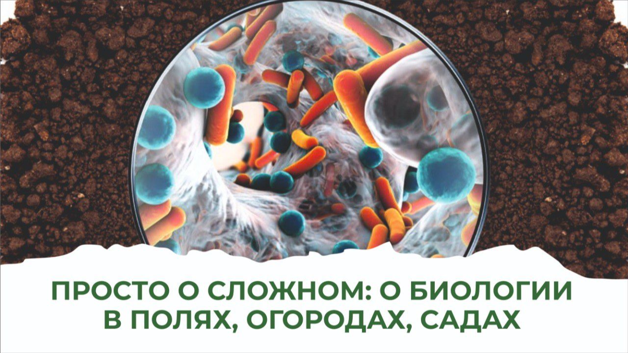 Живая почва. Как вернуть ей силу после химизации? Есть решение от ученого биолога