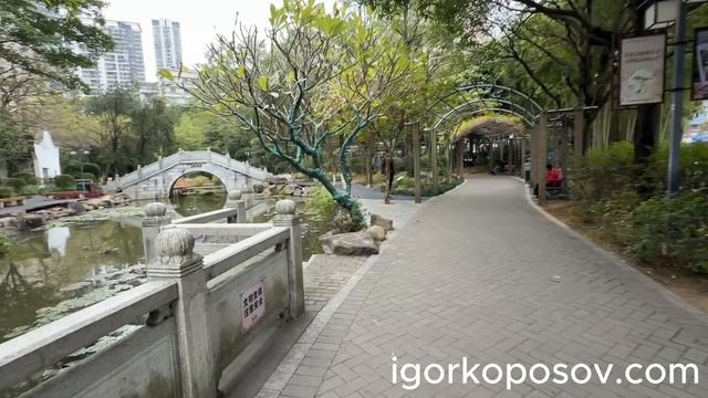 Фучжоу #2 Fuzhou 01.2026 Fuzhou Chating Park традиционный китайский парк 茶亭公园