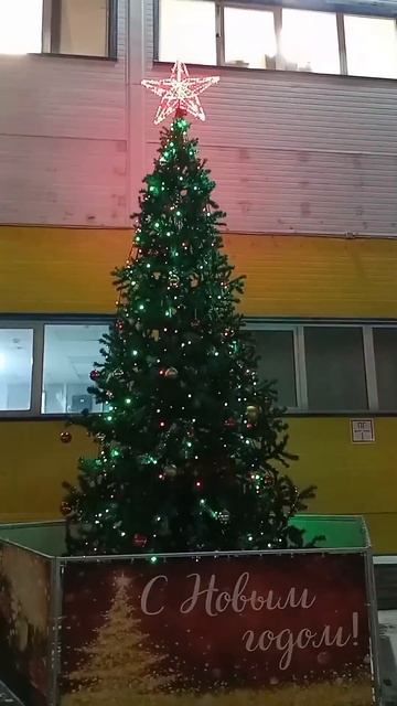 новогодняя ёлочка  #новыйгод