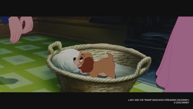 Отрывок из мультфильма  «Леди и Бродяга» 1995