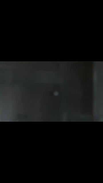 экспилярмус