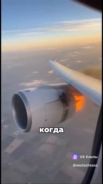 Интересно и любопытно