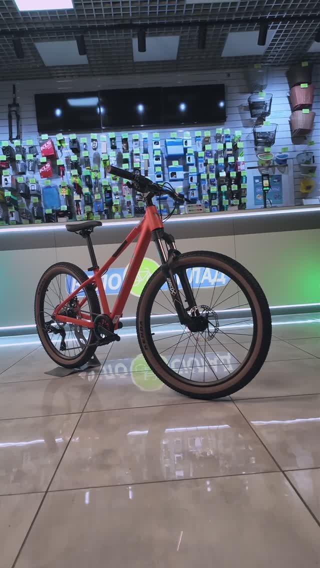 Обзор велосипеда Welt Brave 1.0 24 MD SE (2025)